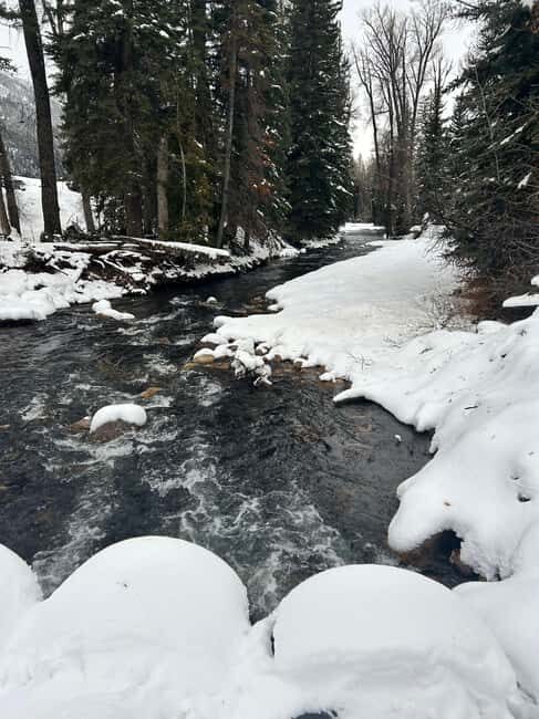 Park City: Guided Fly Fishing on Provo & Weber Rivers - Final Thoughts