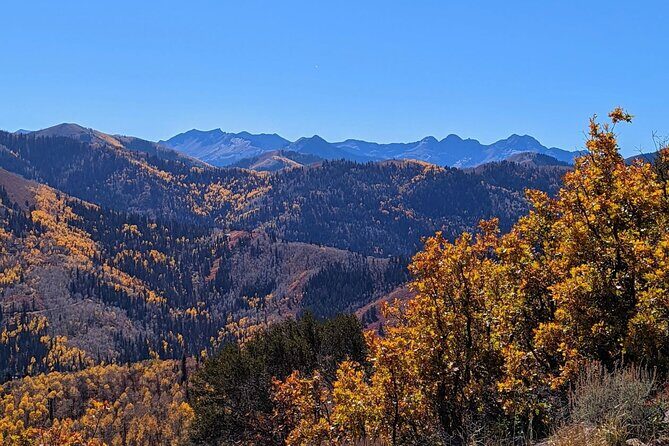 Park City Hiking Activity with Local Guide - Why This Hike Stands Out