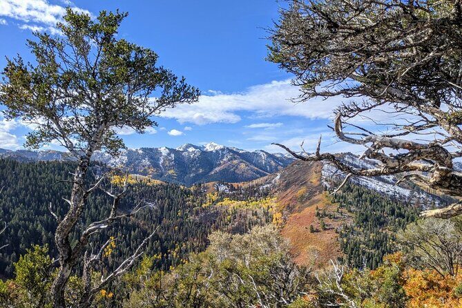 Park City Hiking Activity with Local Guide - The Practical Side: Pricing, Timing, and Group Size