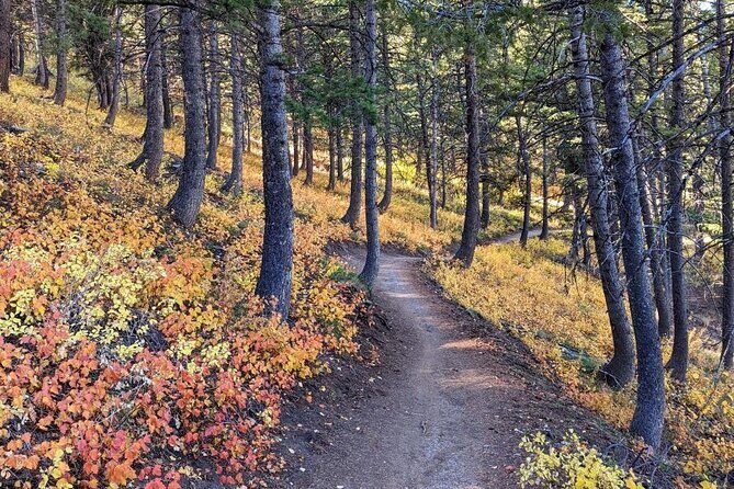 Park City Hiking Activity with Local Guide - The Sum Up: Who Will Love This Hike?