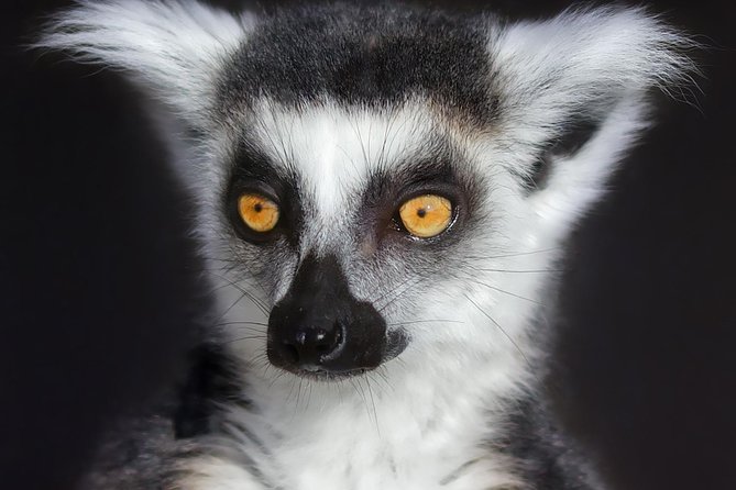 Park Entry for a Family of 4 (2 Adults and 2 Children) - Location and Admission Package