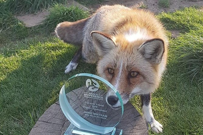 Park Entry for a Family of 4 (2 Adults and 2 Children) - Focus on Wildlife Rescue and Rehabilitation