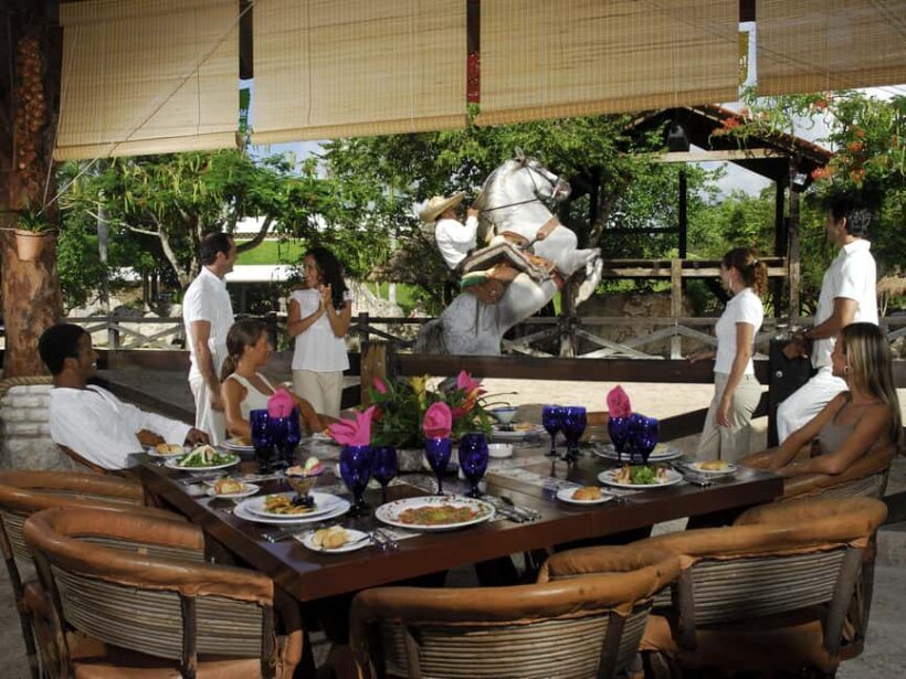 Park Package: Xcaret Plus, Xplor, and Xoximilco - The Practical Side: What to Know Before You Go
