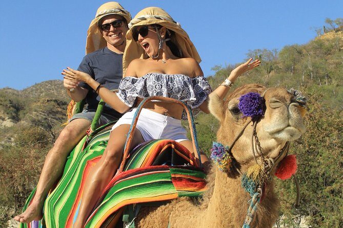 Park Pass at Wild Canyon: One Place, Many Adventures - In The Sum Up