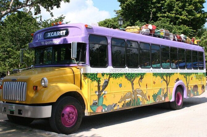 Park Xcaret Plus with Transportation from Cancun and Riviera Maya - Final Thoughts