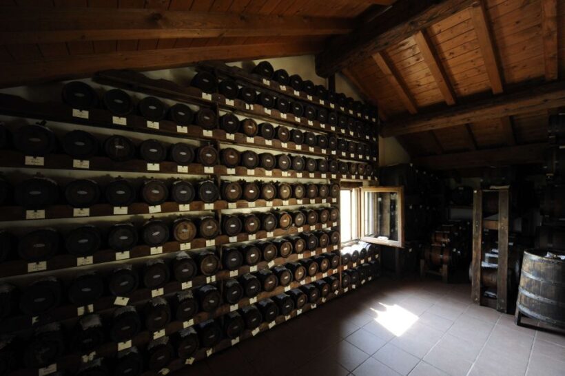 Parma: Full Day Food Tour with Tastings and Lunch - FAQ