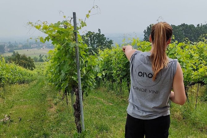 Parma Hills and Wine Tasting with Food Platter - Authentic Experiences and Traveler Feedback