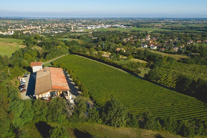 Parma Hills and Wine Tasting with Food Platter - FAQ