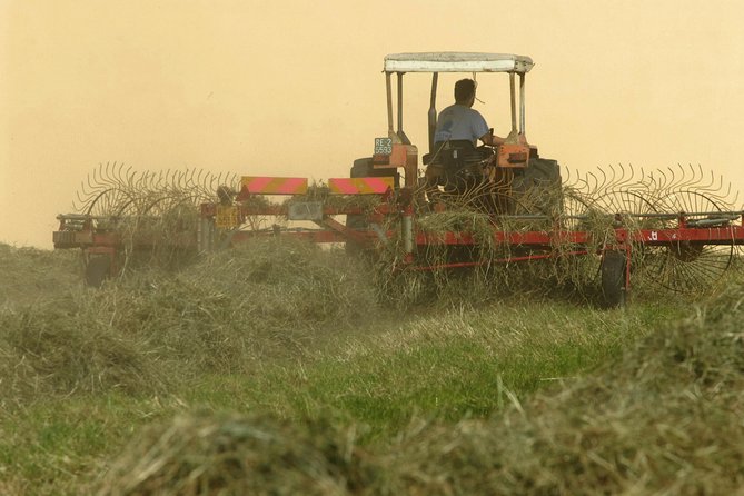 Parma Hillside Private Food Tour and Tasting - The Sum Up: Is This Tour Right for You?