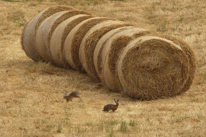 Parma Hillside Private Food Tour and Tasting - FAQ