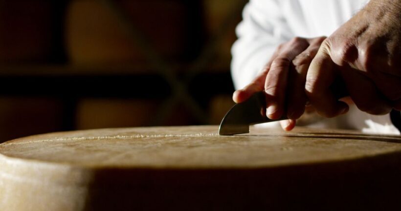 Parma: Parmigiano-Reggiano Cheese Tour - Who Will Love This Tour?