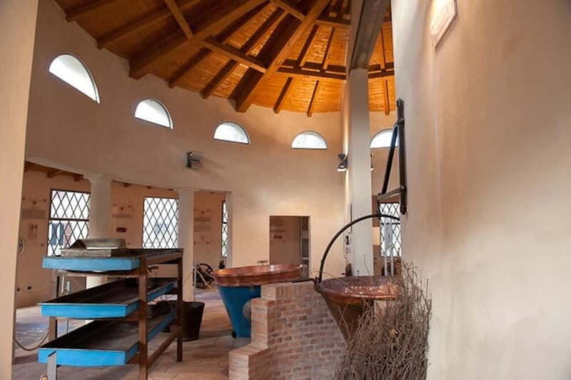 Parma: Parmigiano Reggiano Museum Ticket - Introduction