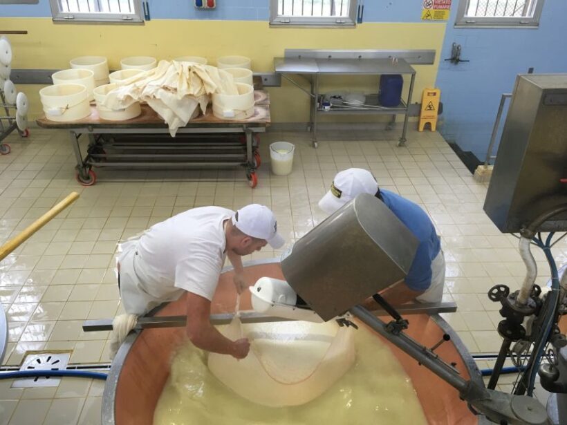 Parma: Parmigiano-Reggiano Tour and Tasting - An Authentic Cheese-Making Experience in Italys Heartland
