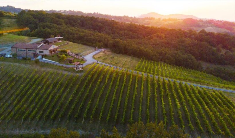 Parma: Winery Tour and tasting - What Makes This Tour a Great Value