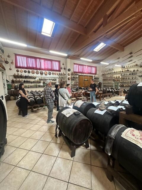 Parmesan and Balsamic Food Tour with Ferrari Museum - A Complete Breakdown of the Experience