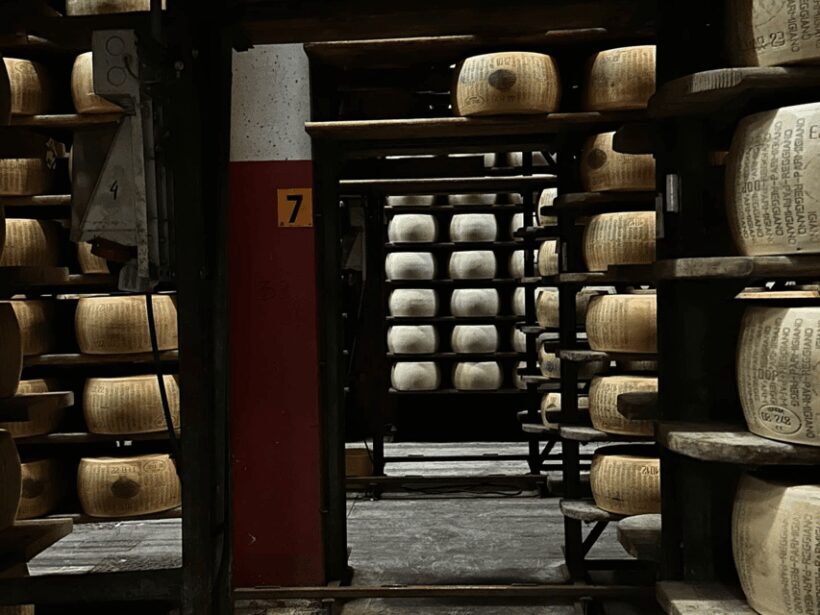 Parmesan Cheese Tour & Tasting near Modena - Introduction