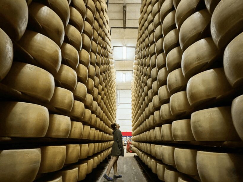 Parmesan Cheese Tour & Tasting near Modena - The Sum Up