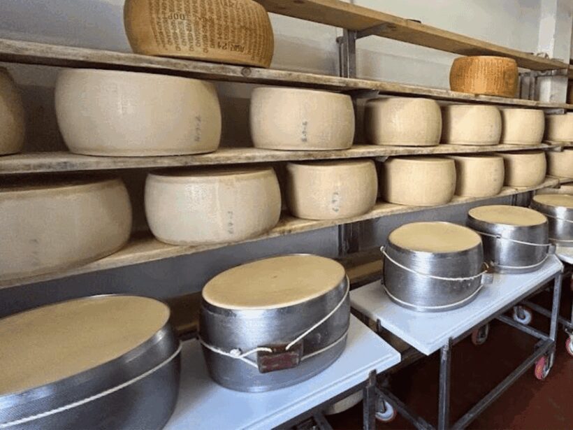 Parmesan Wheels near Parma: Tasting & Factory Tour - The Sum Up