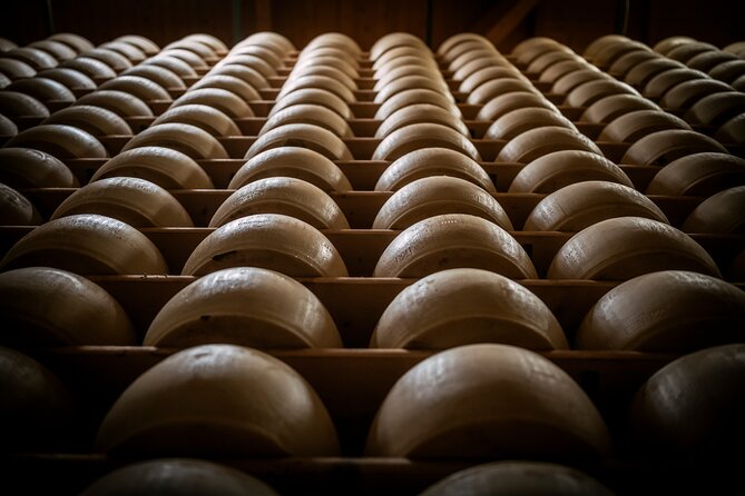 Parmigiano and Culatello Private Tour with Lunch and Farm Visit - How We See Value and How It Fits