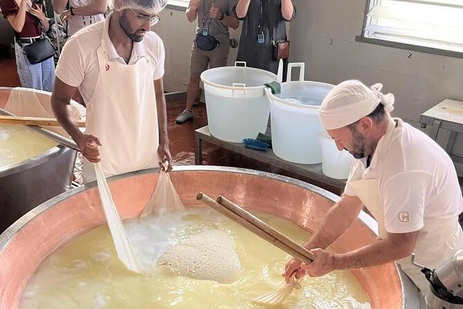 Parmigiano Cheese Factory Visit and Tasting - Inclusions and Accessibility