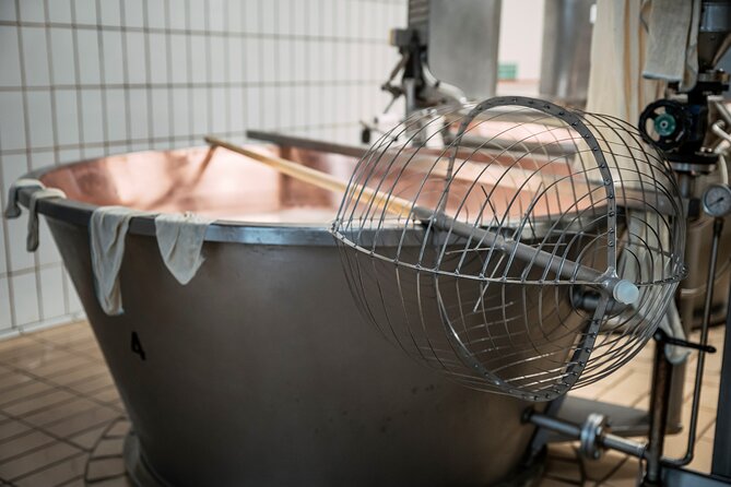 Parmigiano Reggiano & Balsamic Vinegar Tour Review - Guest Feedback and Highlights