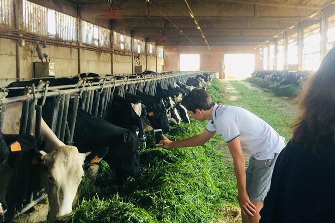 Parmigiano Reggiano & Balsamic Vinegar Tour Review - Additional Considerations