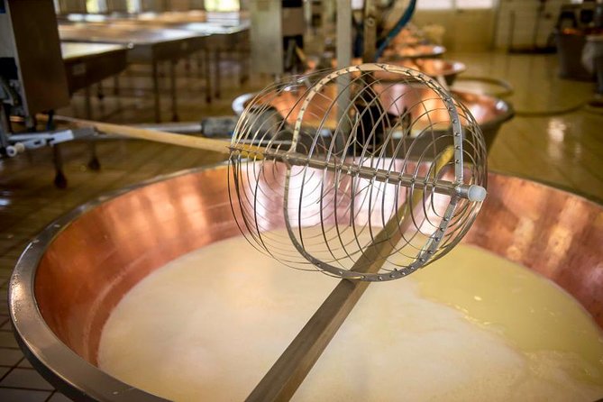 Parmigiano Reggiano Cheese Factory Tour & Tasting Experience - Pairing the Experience With a Glass of Lambrusco Wine