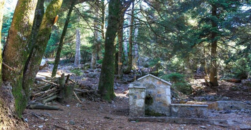 Parnitha (Parnis) / Skipiza & Mola loop - Hike near Athens - Key Points