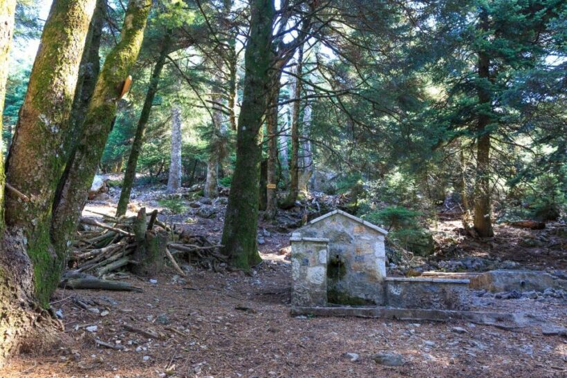 Parnitha (Parnis) / Skipiza & Mola loop - Hike near Athens - Comfort & Convenience