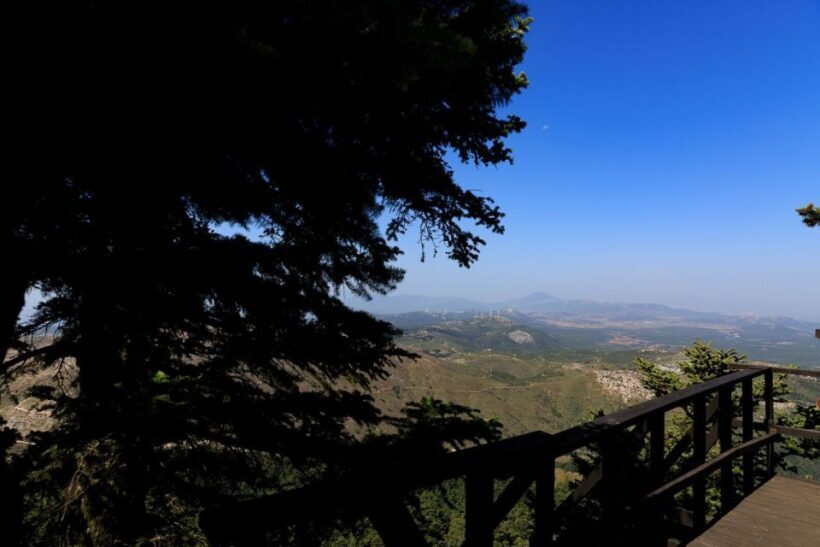 Parnitha (Parnis) / Skipiza & Mola loop - Hike near Athens - Value for Money