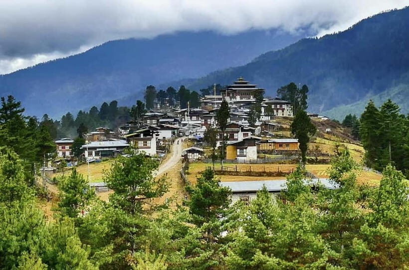 Paro: Culture and Nature 4-Day Guided Tour - An In-Depth Look at the Experience