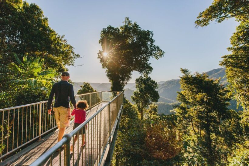 Paronella Park and Mamu Tropical Skywalk Ticket Combo - Exploring the Paronella Park and Mamu Tropical Skywalk Ticket Combo