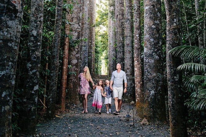 Paronella Park and Millaa Millaa Falls Full-day Tour from Cairns - Key Points