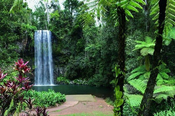 Paronella Park and Millaa Millaa Falls Full-day Tour from Cairns - The Value of the Experience