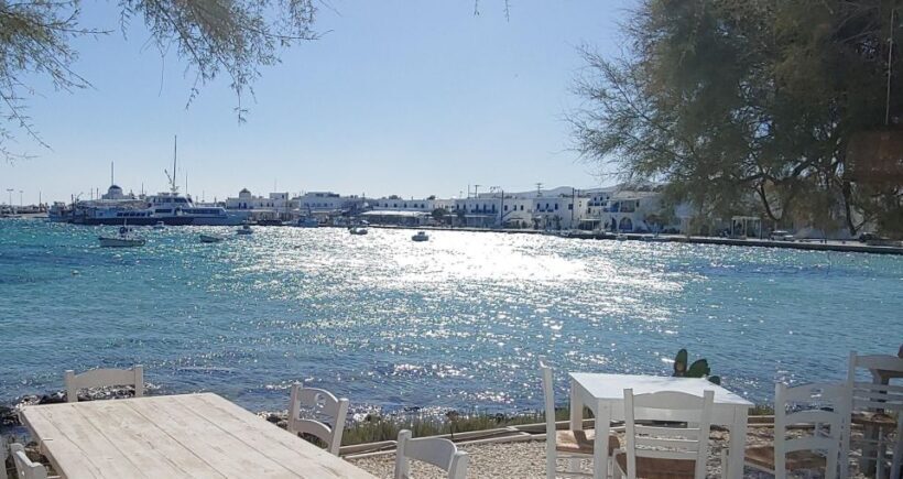 Paros & Antiparos Islands French tour including lunch - Additional Tips