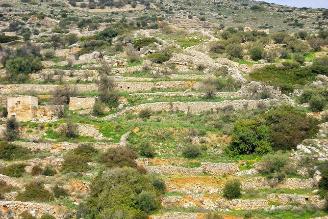 Paros Byzantine Path Ancient Greek Route Hiking Experience - Frequently Asked Questions