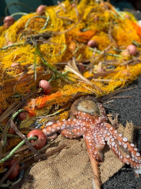 Paros: Highlights Tour with Fishing & Tasting in Naoussa - An In-Depth Look at the Paros Highlights Tour