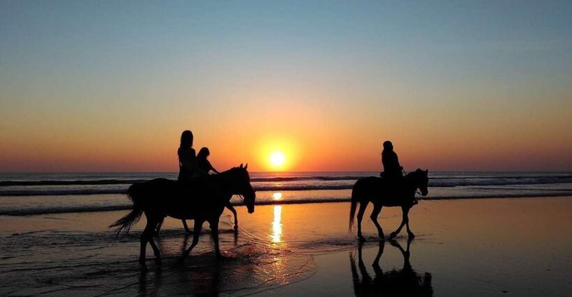 Paros: Morning Island Horseback Riding Adventure - Paros: Morning Island Horseback Riding Adventure — A Detailed Review