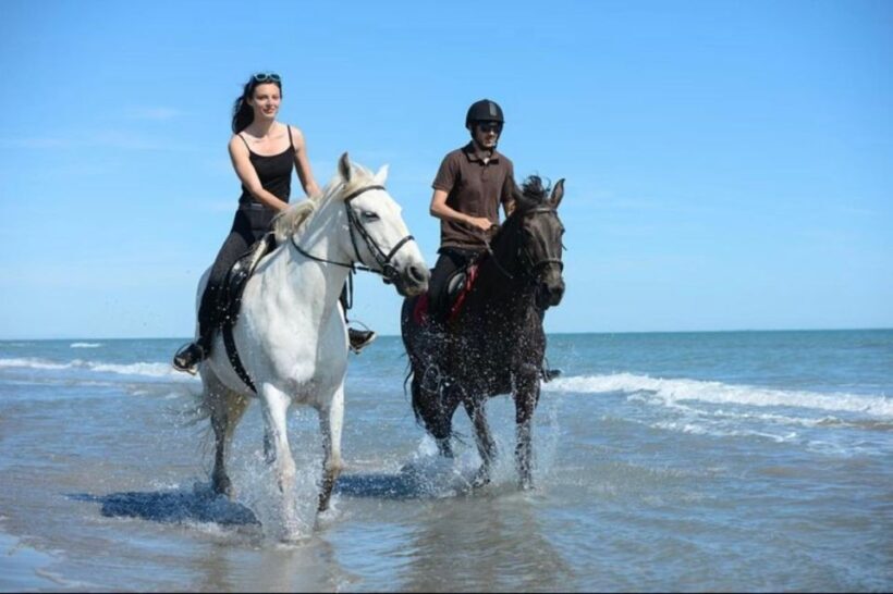 Paros: Morning Island Horseback Riding Adventure - An Offbeat Way to Discover Paros