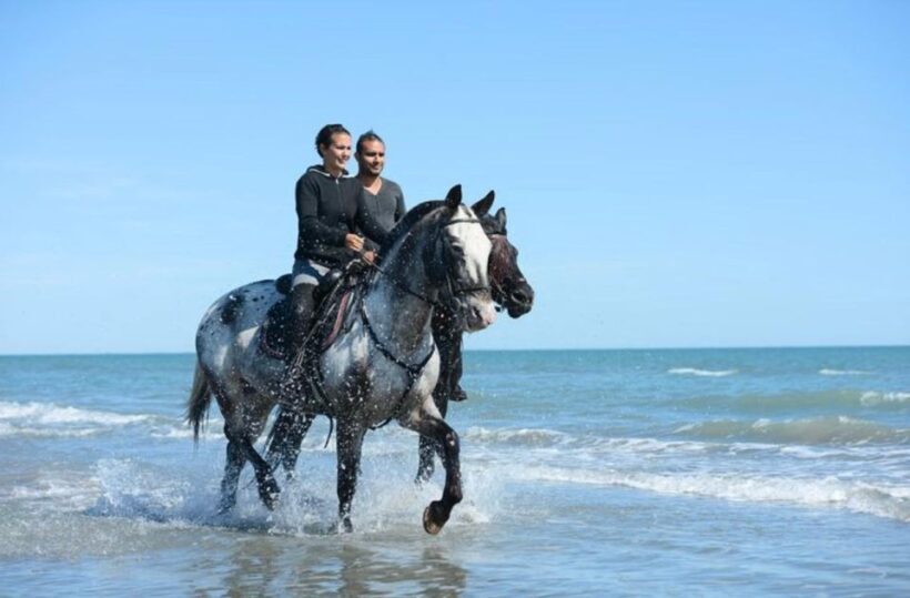 Paros: Morning Island Horseback Riding Adventure - Frequently Asked Questions