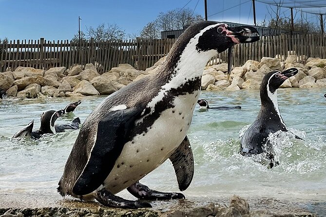 Parrot World Immersive Wildlife Park Entry Ticket Next to Paris - Wildlife and Animal Species