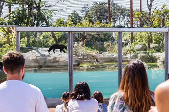 Parrot World Immersive Wildlife Park Entry Ticket Next to Paris - Visitor Reviews and Feedback