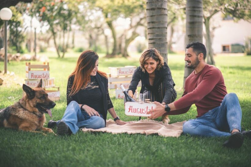 Partinico: Farm Augustali Winery Tour with Picnic & Tastings - The Wines and Tasting Experience