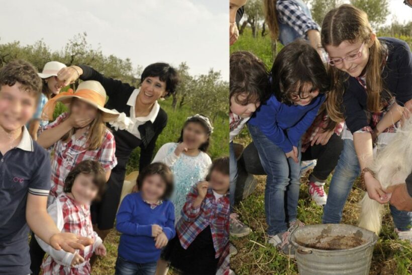 Partinico: Farm's Animals and Aromatic Garden Experience - What to Expect from the Farm Experience in Partinico