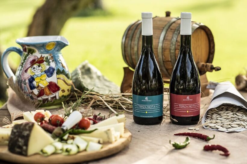 Partinico:Grape harvest in the lands of FrederikII of Swabia - Key Points