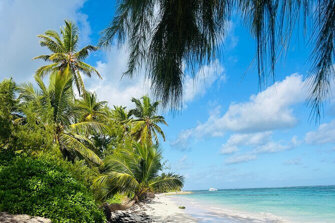 Party Boat Punta Cana Public or Private and Open Bar - The Sum Up