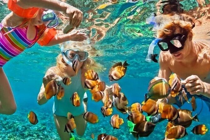 Party Boat Tour in Bavarian Snorkeling Natural Pool and Fun - Practical Tips for Your Day