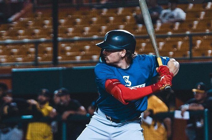 Party Bus and Baseball Game Puerto Rico - Authentic Feedback and What to Expect