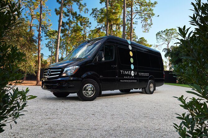 Party Bus Excursion Disco Ball, Limo Seating, Bar, & LED Lights - Who Will Love This Experience?