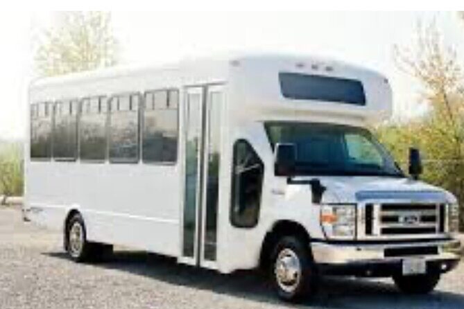 Party Bus Experience in San Juan, Puerto Rico - Introduction: An Exciting Night Out in San Juan